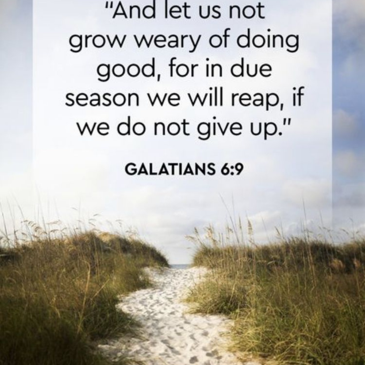 New Generation Schools Trust - Thought of the day 07/05/20